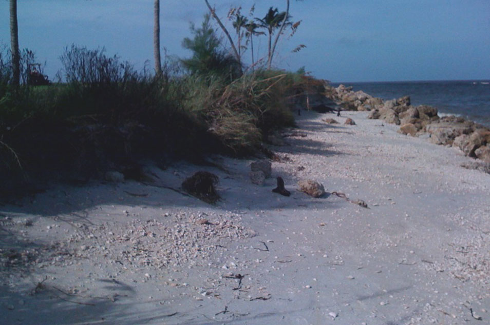 Rip Rap | Florida Marine Construction